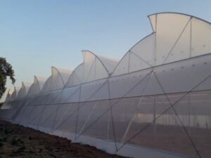 Hybrid Poly Net House | Protected Farming Structure Installation