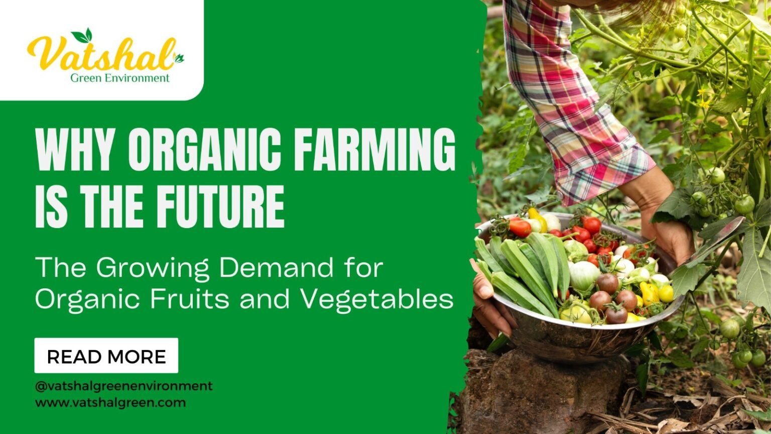 Vatshal Green Protected Farming | Nethouse/Greenhouse Structure Setup