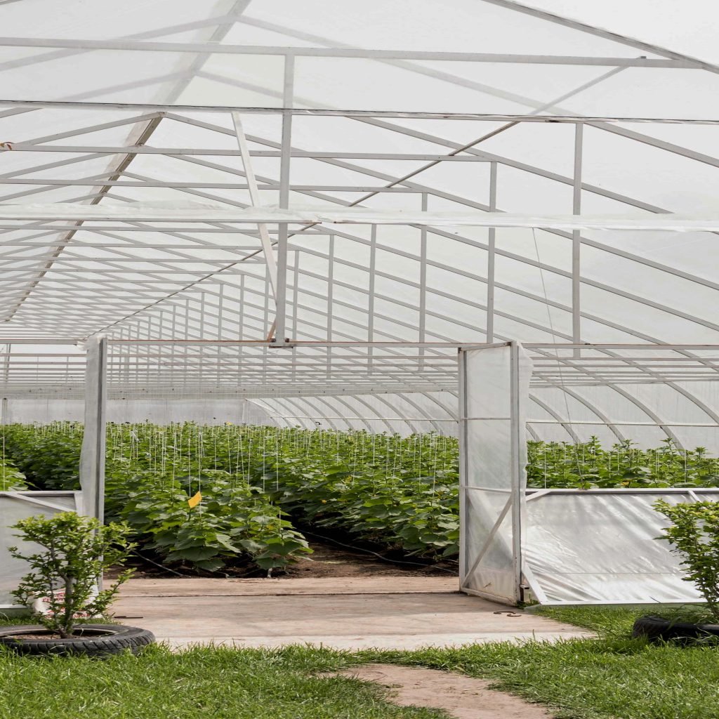 Hybrid Poly Net House - Vatshal Green Environment